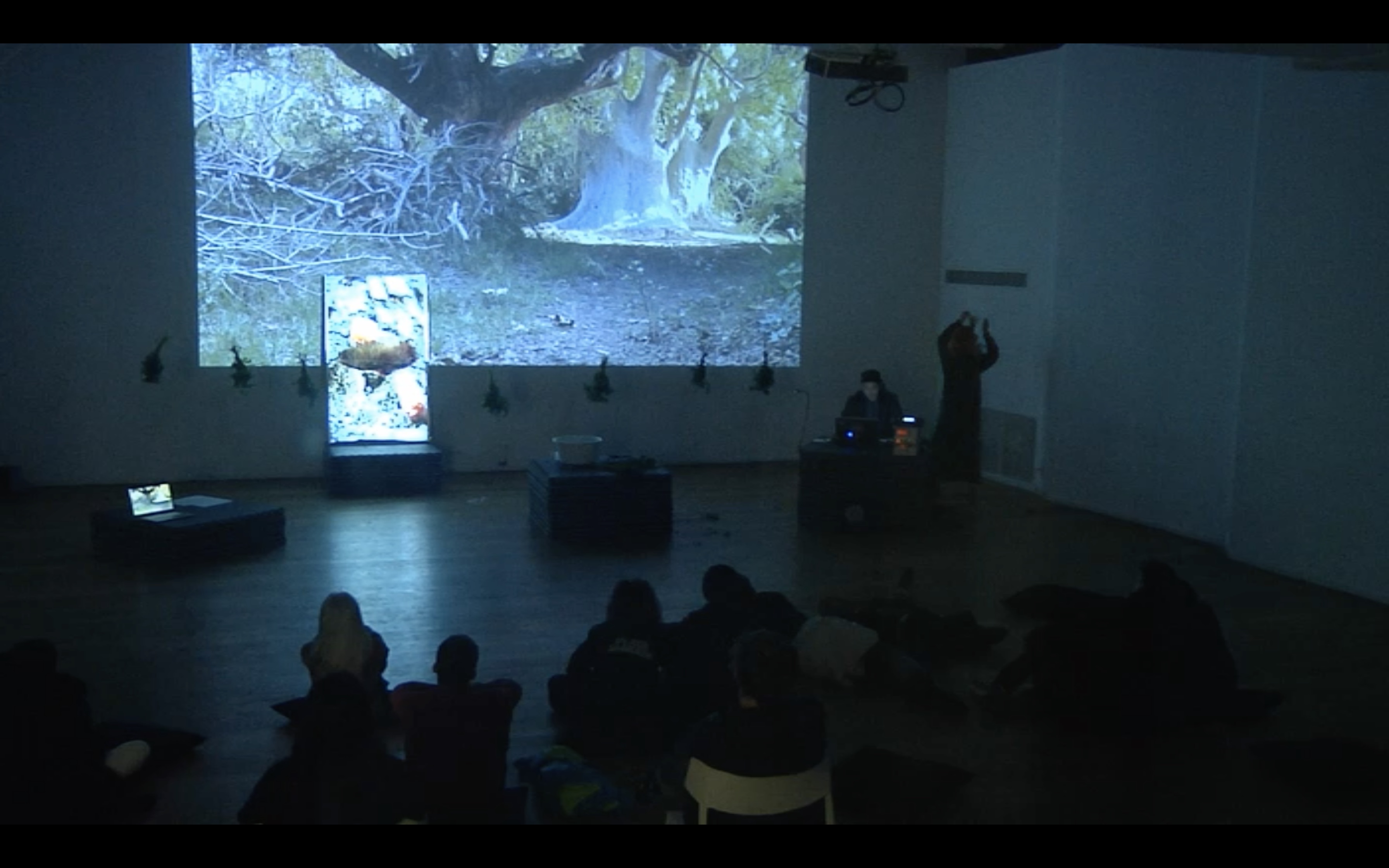 Lechuga Mundial – DEBORAH GEPPERT